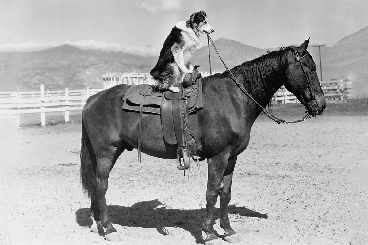 The Importance of Disruptive Marketing in Today's Digital Landscape